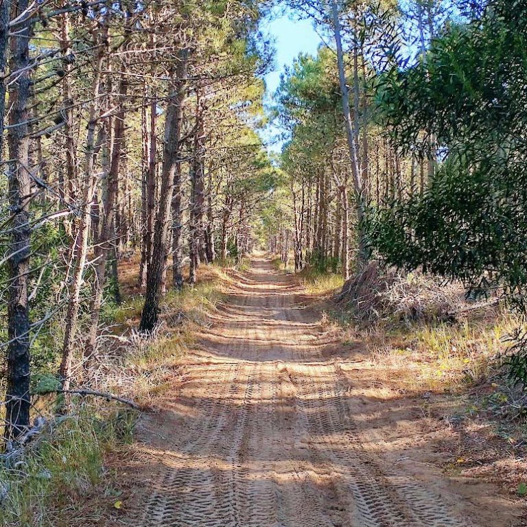 Ostende - Pinamar.com