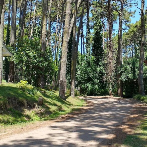 Ostende - Pinamar.com